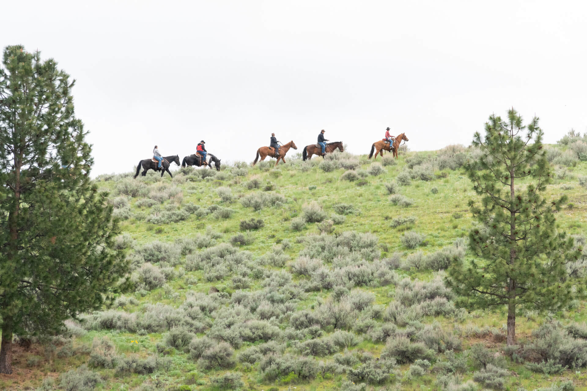Triple Creek Ranch | CB Horseback Rides