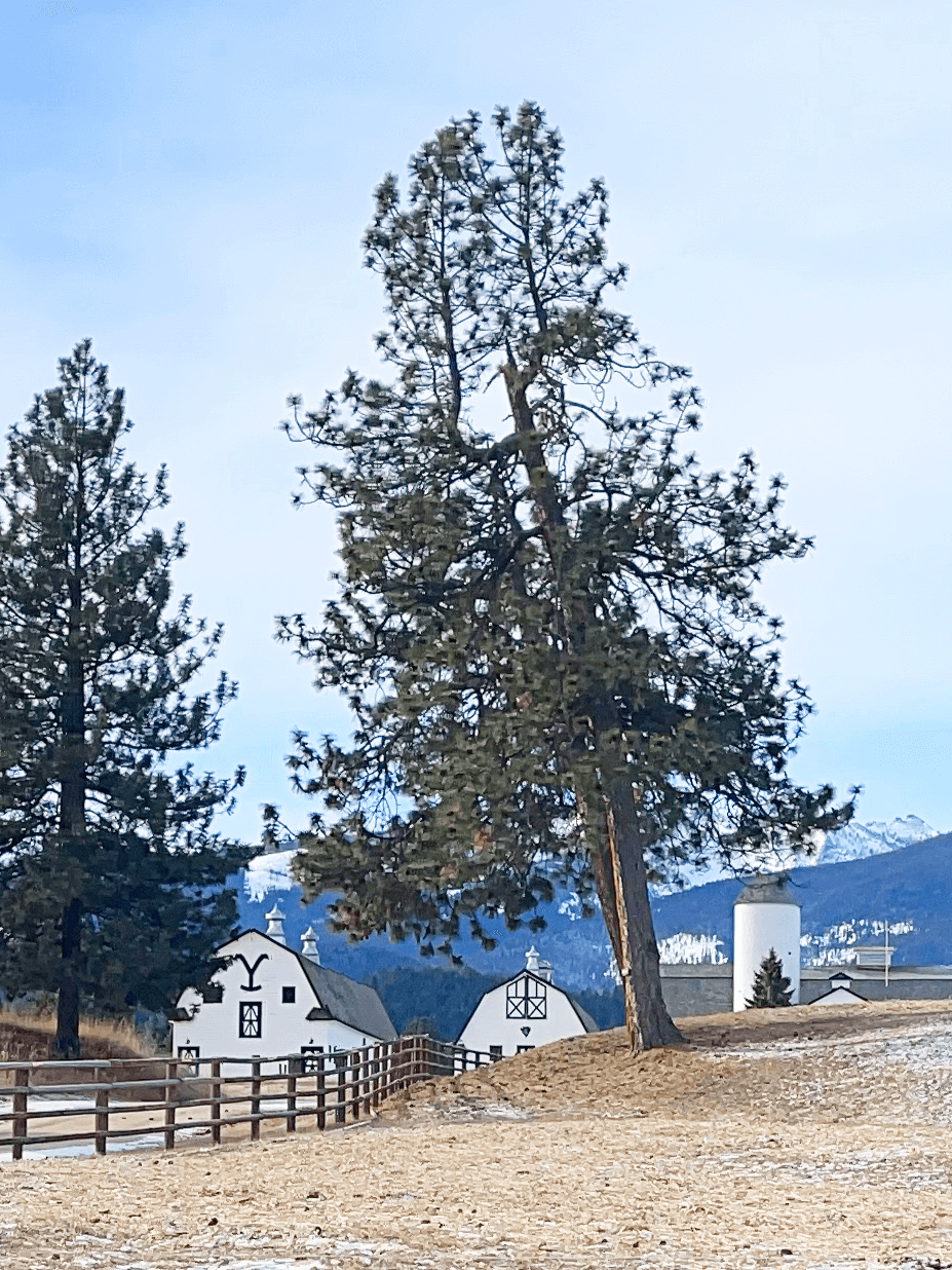 Triple Creek Ranch | Scenic Drive