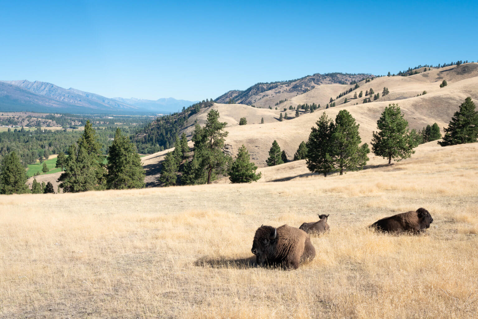 Home [www.triplecreekranch.com]
