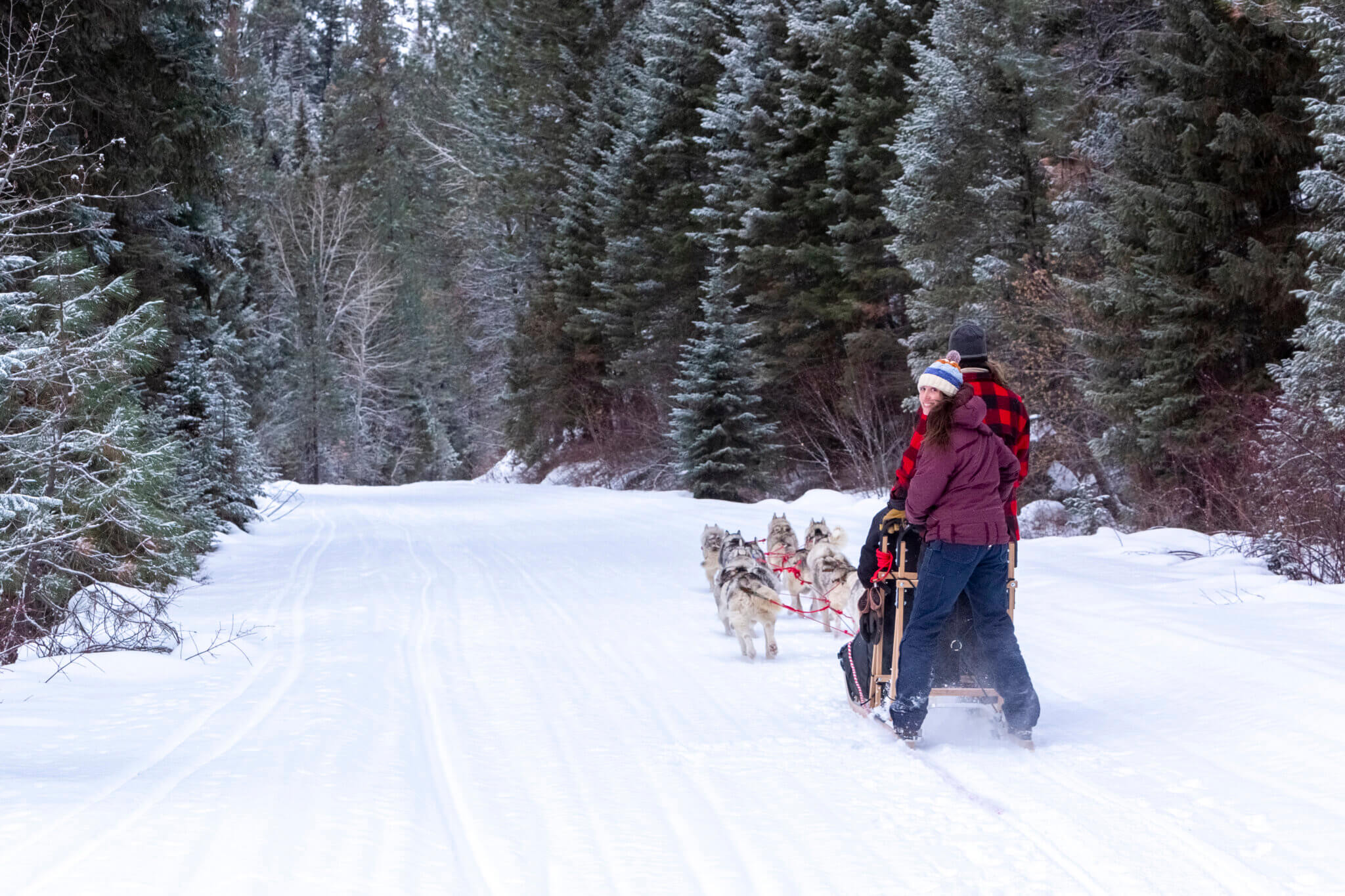 Triple Creek Ranch | Dog Sledding